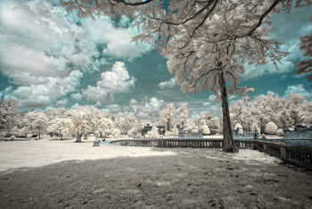 First Shoot - Super Color Filter - Infrared Conversions, IR ...