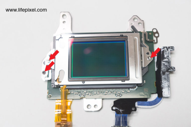 Life Pixel – Canon 5Dmk4 DIY Digital Infrared Conversion Tutorial ...