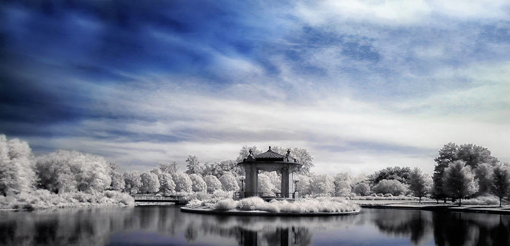 Why Shoot with a Converted Camera? - Infrared Conversions, IR ...