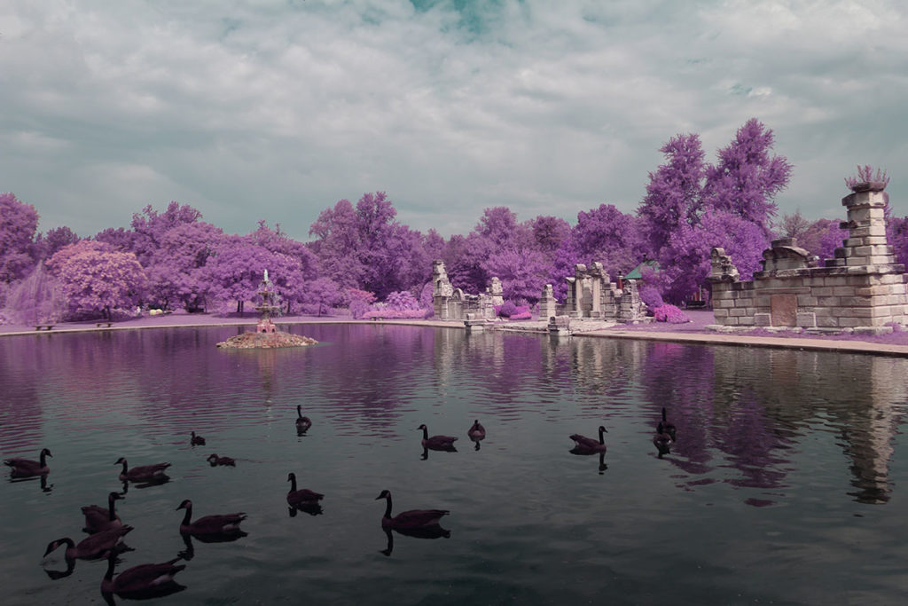How to work the Colors in a Hyper Color - Infrared Conversions, IR ...