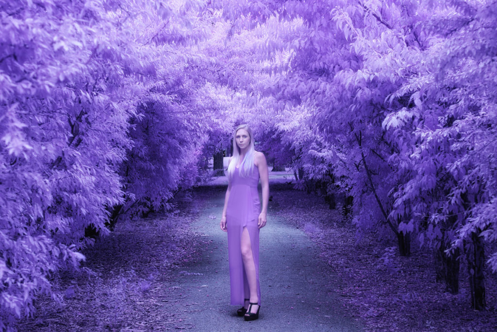 Introducing Hyper Color - Infrared Conversions, IR Modifications ...