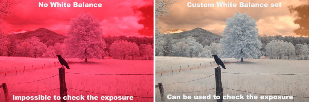 Master White Balance - Infrared Conversions, IR Modifications ...