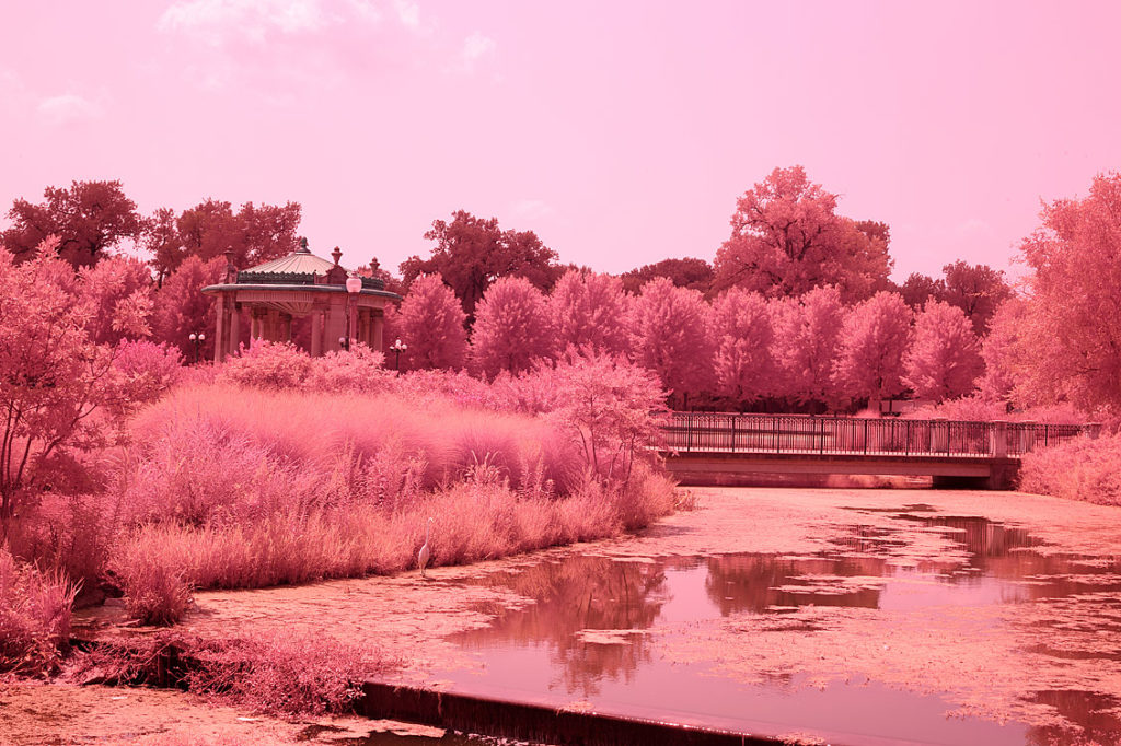 LifePixel Digital Camera Infrared IR Conversion. Sample infrared ...