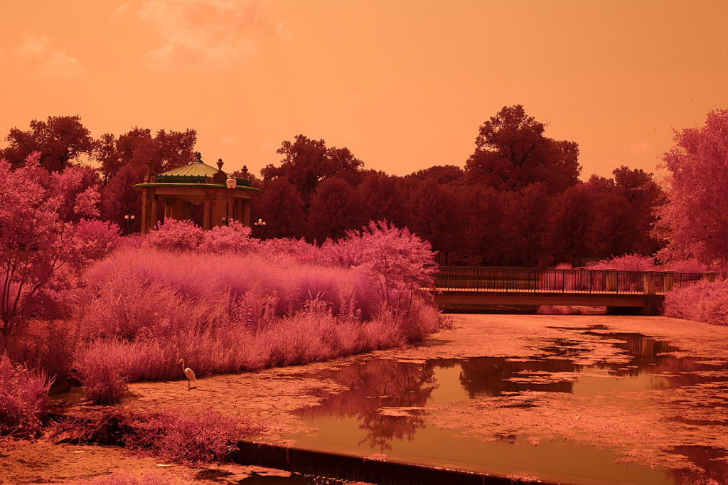 Digital Infrared Filter Comparison Photos - Hyper Color IR Filter ...