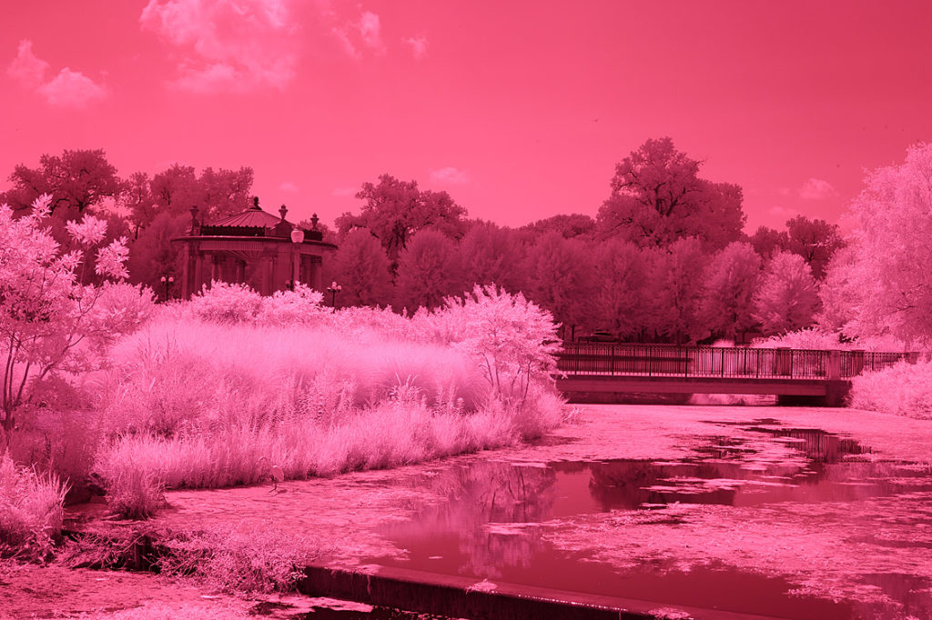 LifePixel Digital Camera Infrared IR Conversion. Sample infrared ...
