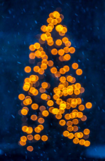 What is Bokeh and How To Achieve It? - Infrared Conversions, IR ...