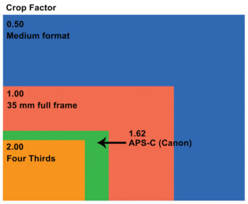 Full Frame vs. Crop Sensors - What Are They And Which Should You Use ...