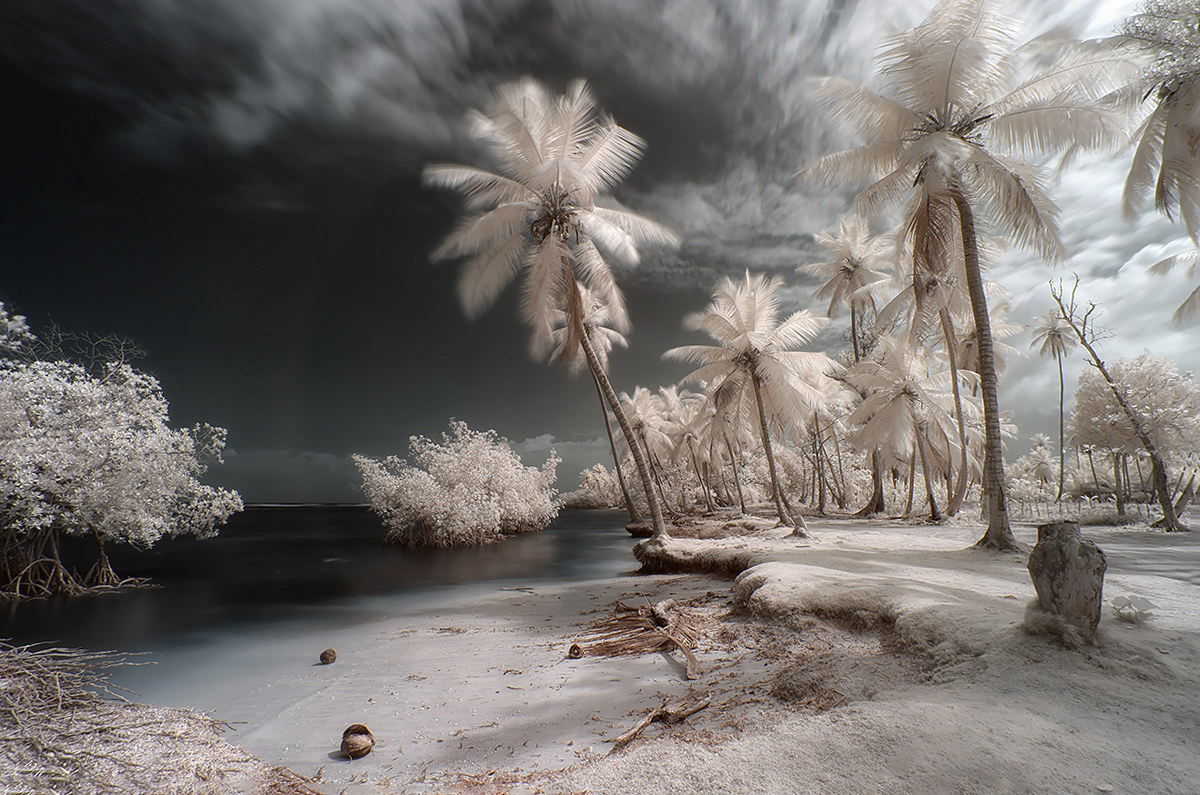 Shooting IR in The D.R. - Infrared Conversions, IR Modifications ...