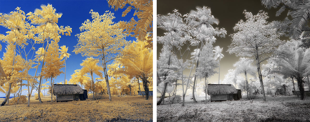 Shooting IR in The D.R. - Infrared Conversions, IR Modifications ...