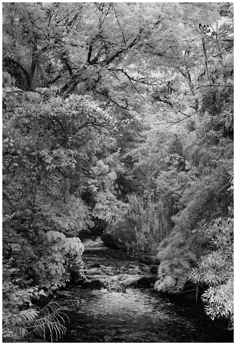 Jonathan Sachs Infrared Gallery - Infrared Conversions, IR ...